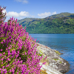 Scottish Symbols - From The Practical To The Mythical